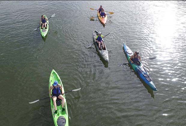 Charleston Kayaking and Paddleboarding